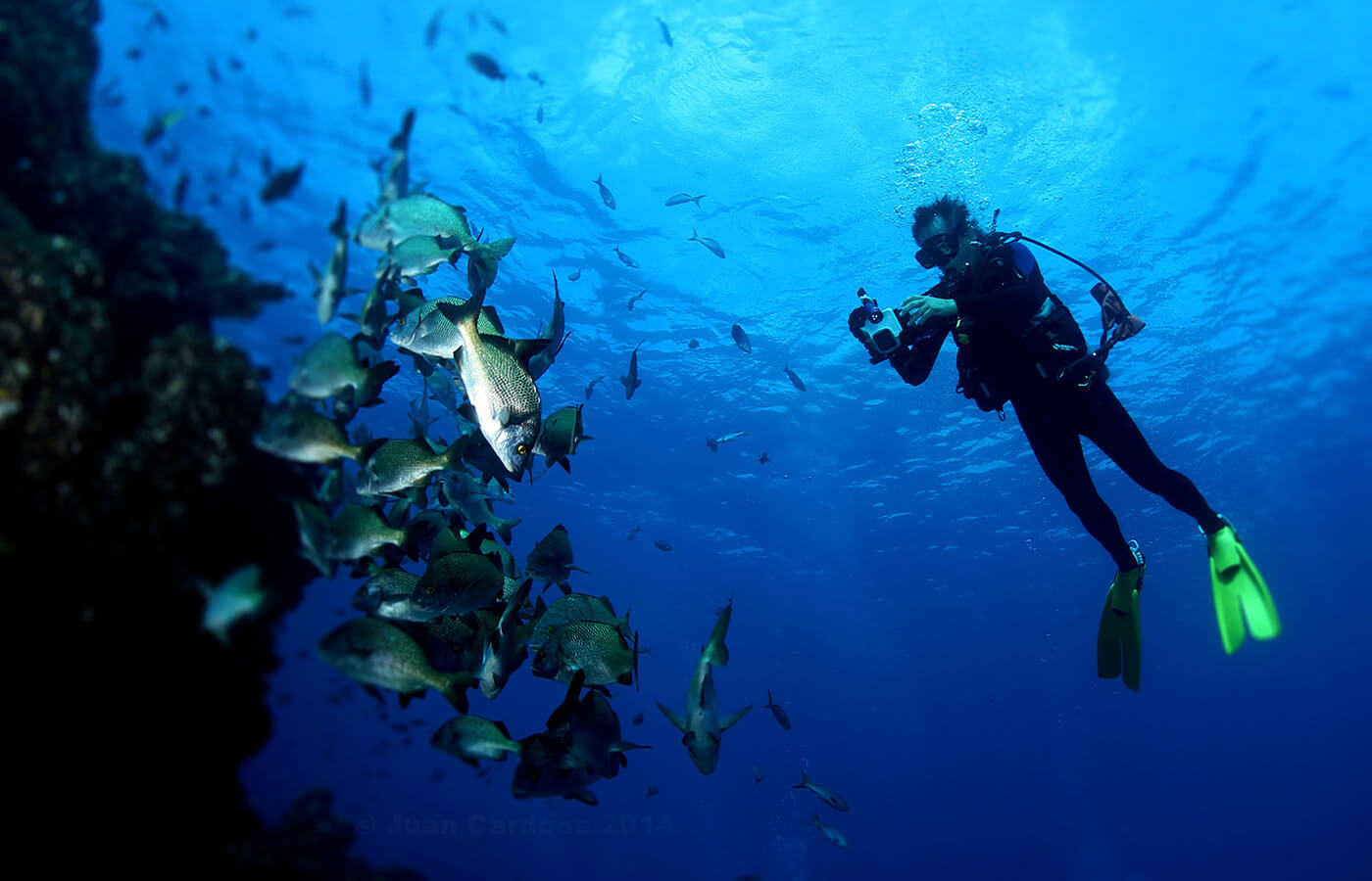MLDSPOT | Suka Diving? Ini Dia X Wisata Diving Paling Seru di Indonesia